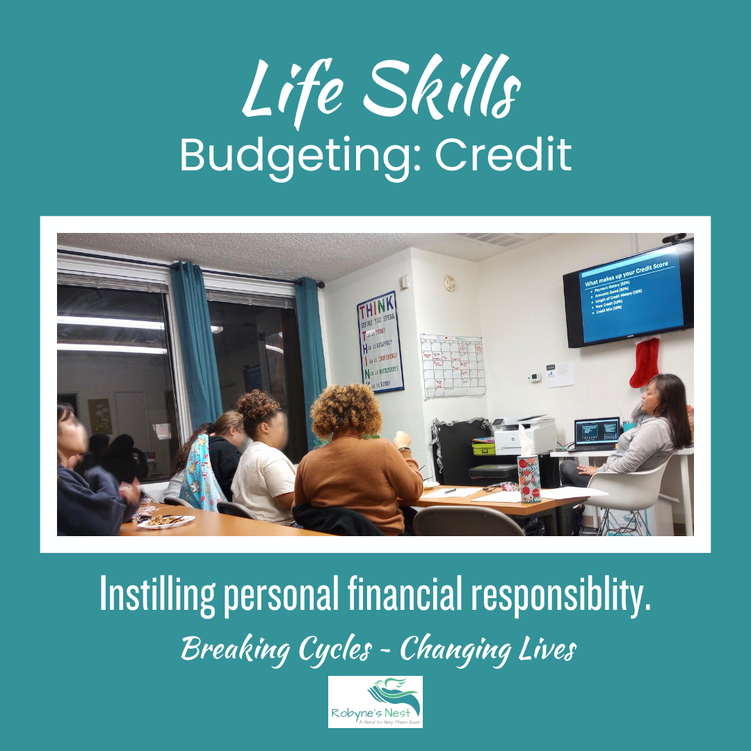 Life Skills - Budgeting: Credit — Robyne's Nest