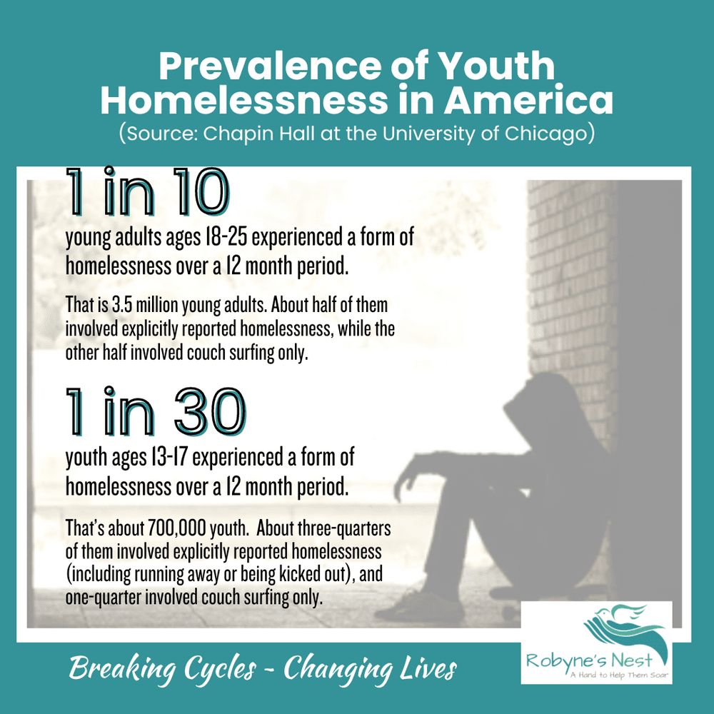 Prevalence of Youth Homlessness in America — Robyne's Nest