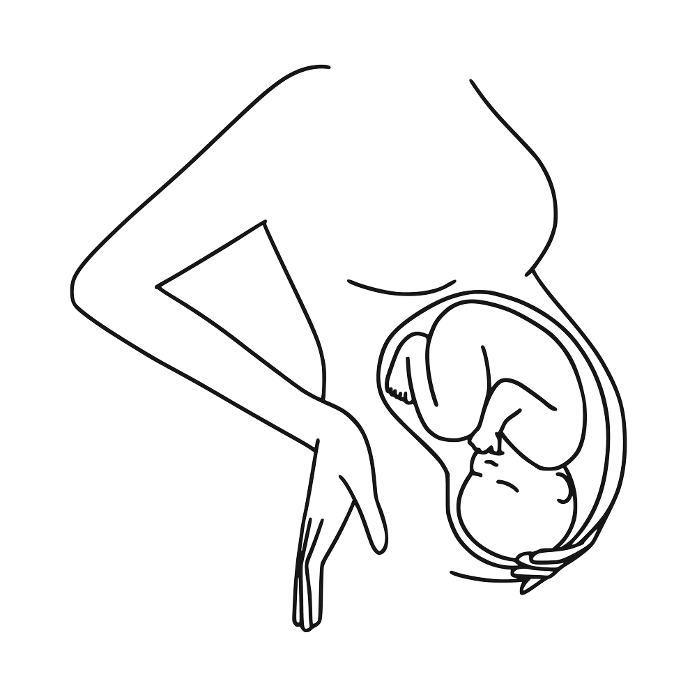 Bella Vie Gentle Birth Center