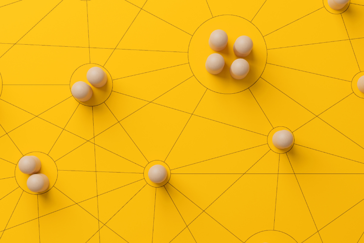 Peer Support Community of Practice — International Peer Leadership Network