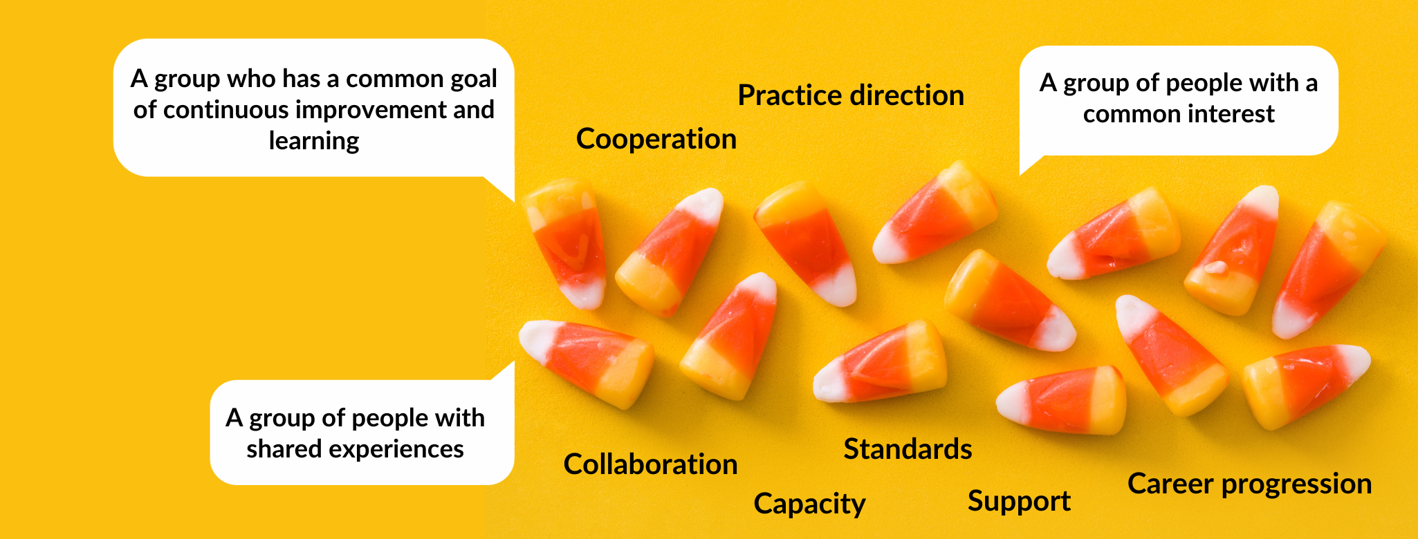 Peer Support Community of Practice — International Peer Leadership Network