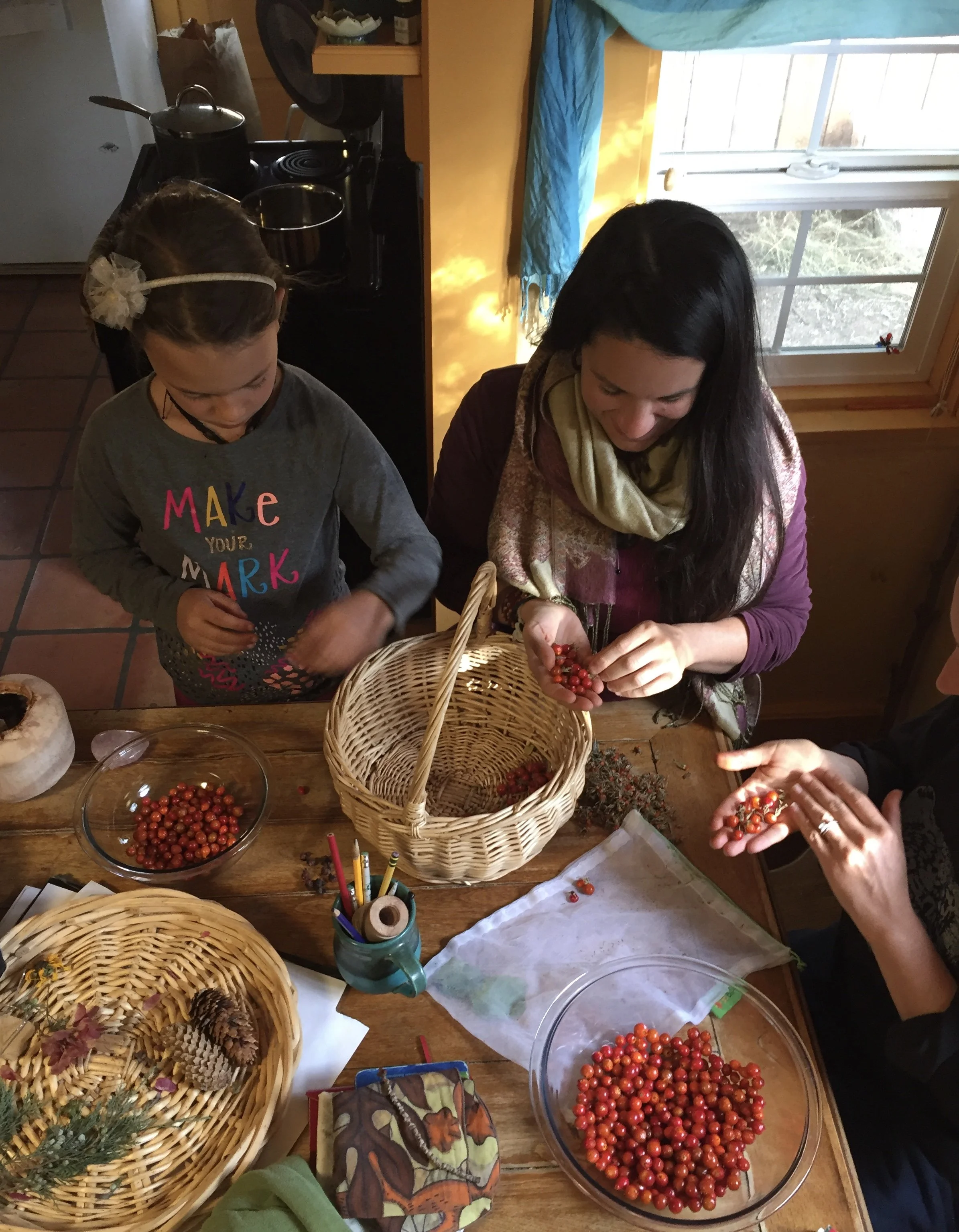 Bee Blessed Botanicals