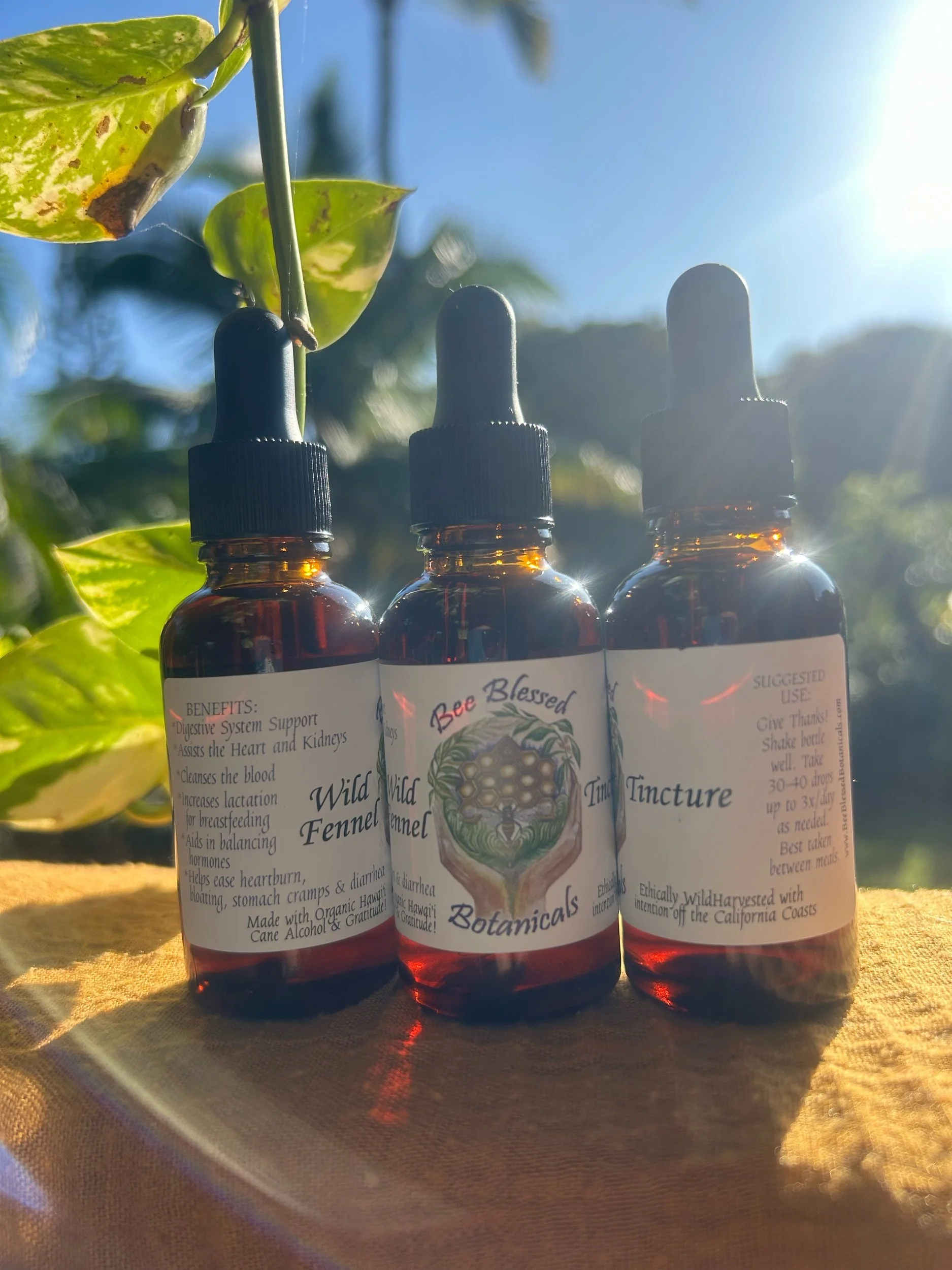 Botanical Shop — Bee Blessed Botanicals