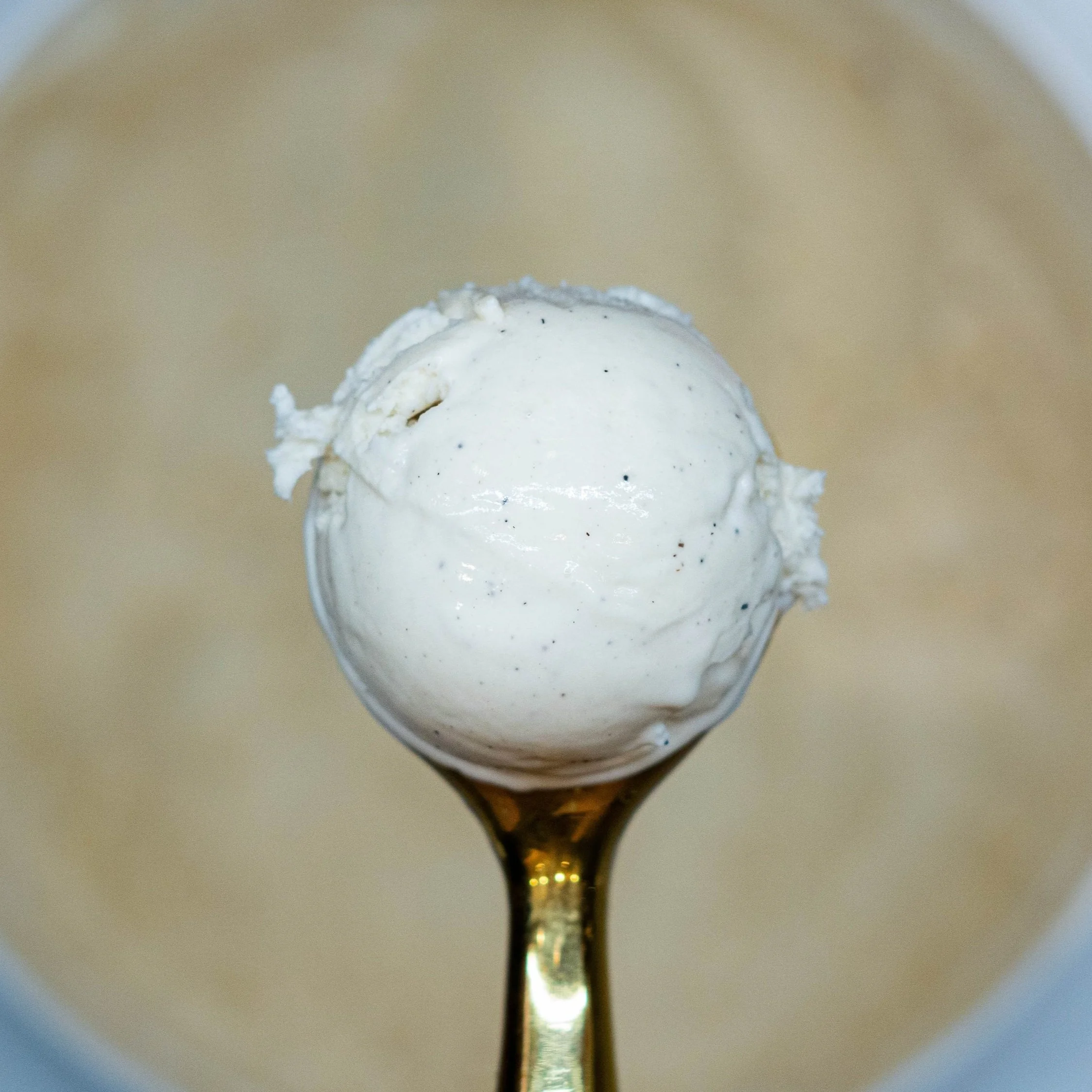 Menu — Gold Spoon Creamery