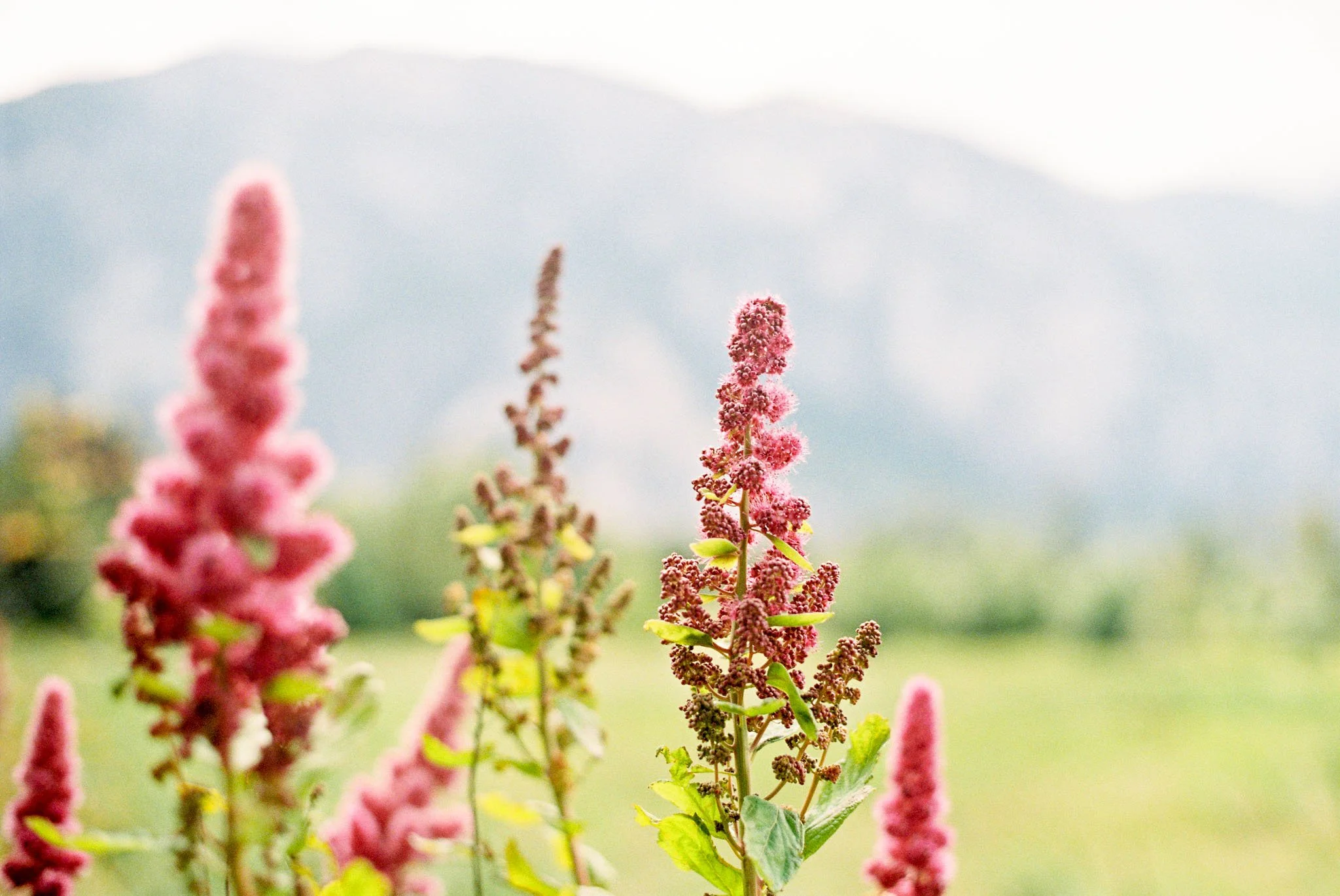 Emily Mary Photography - Squamish Photographer