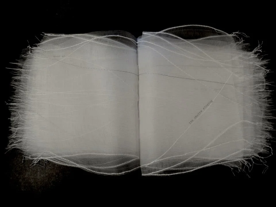 What Is an Artist’s Book? Why Do Artists Make Artist’s Books?