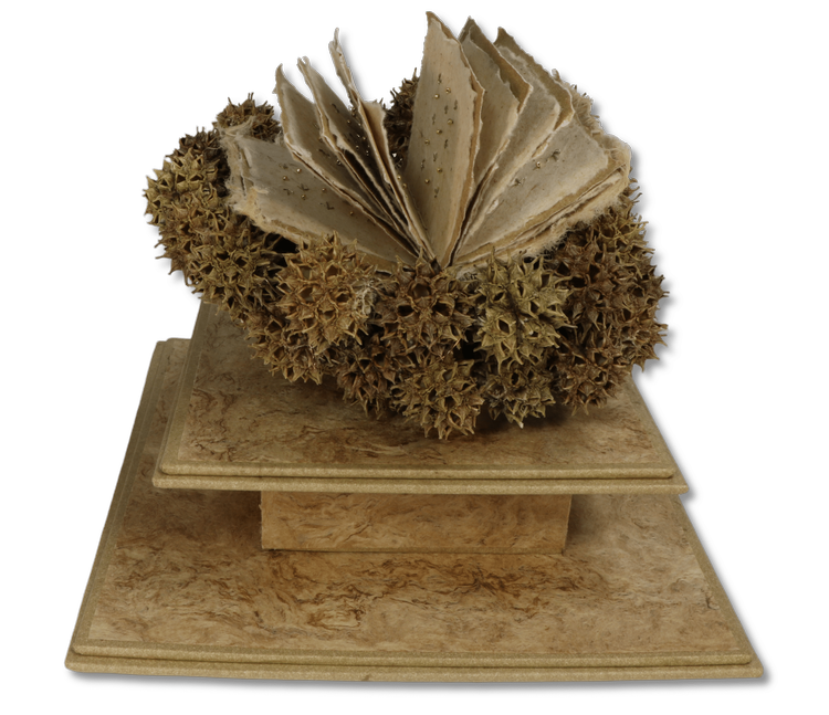 What Is an Artist’s Book? Why Do Artists Make Artist’s Books?