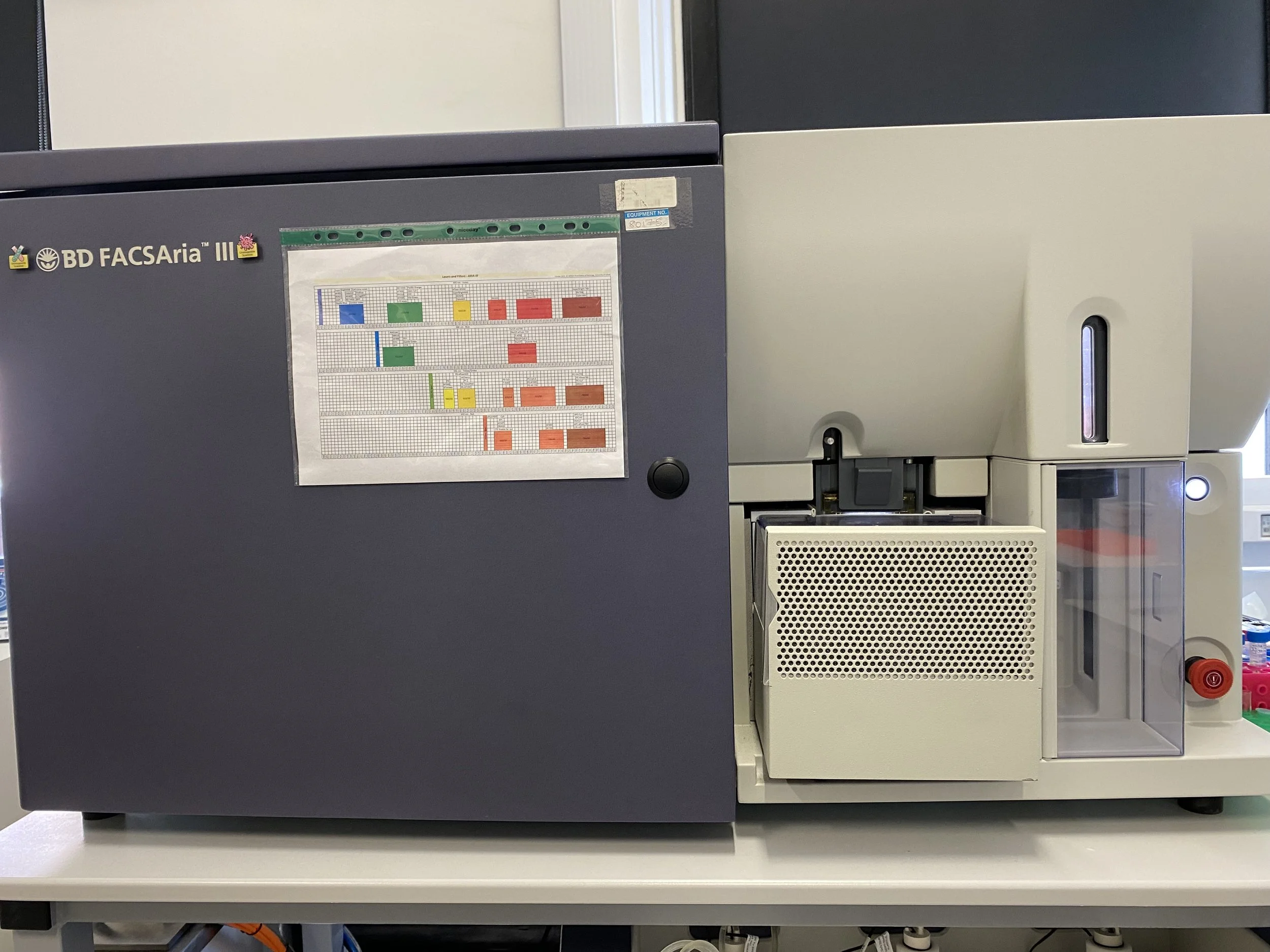 Flow Cytometry Cell Sorting — The Don Mason Facility of Flow Cytometry