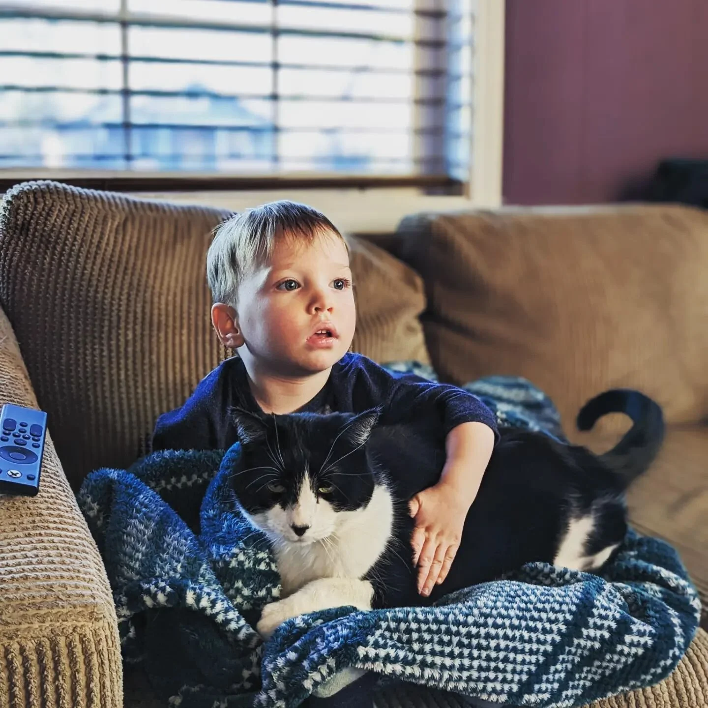 Noel Frame: Democrat for State Senate - 36th LD