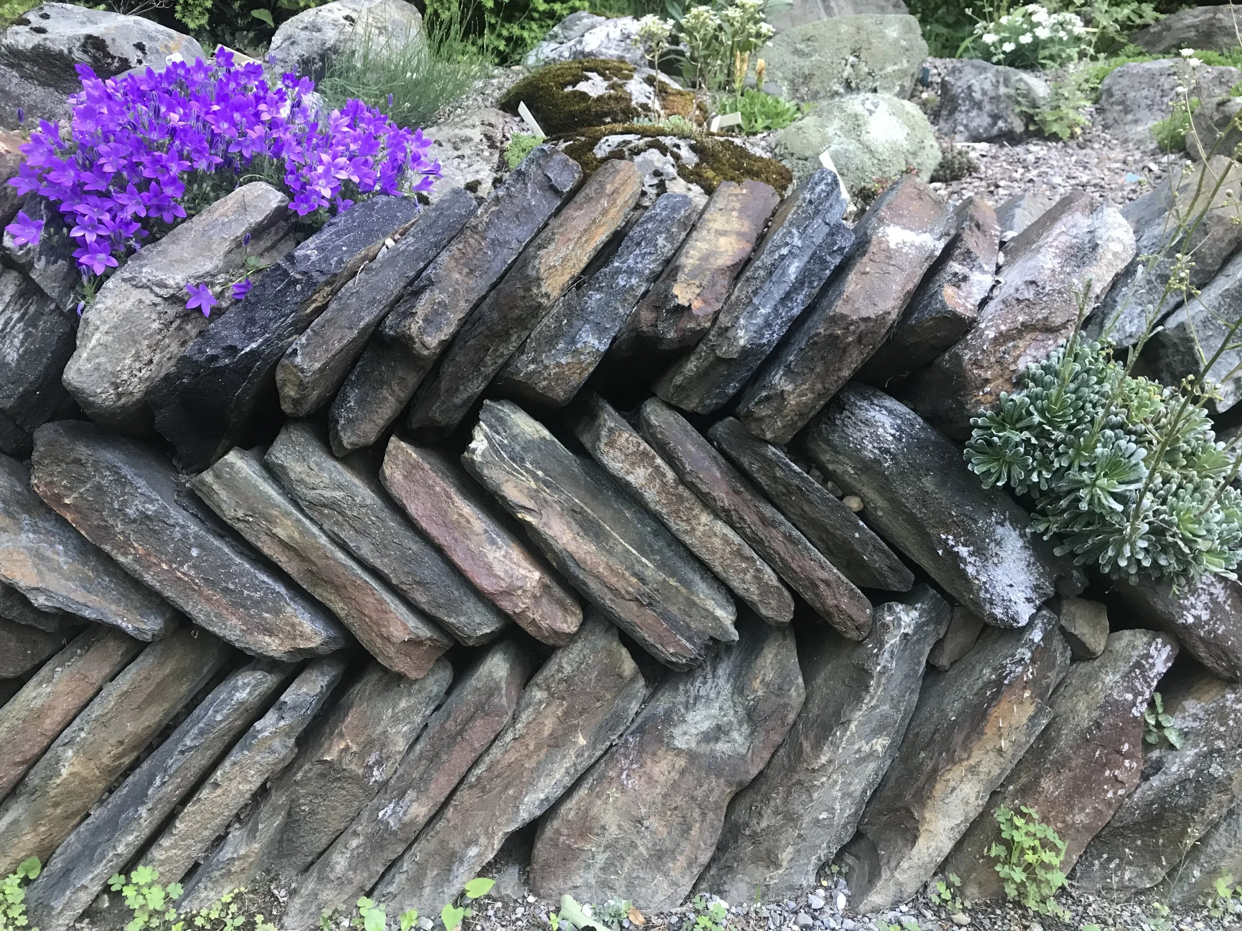 Rock and Alpine Gardens — Lincoln Hill Botanical Garden