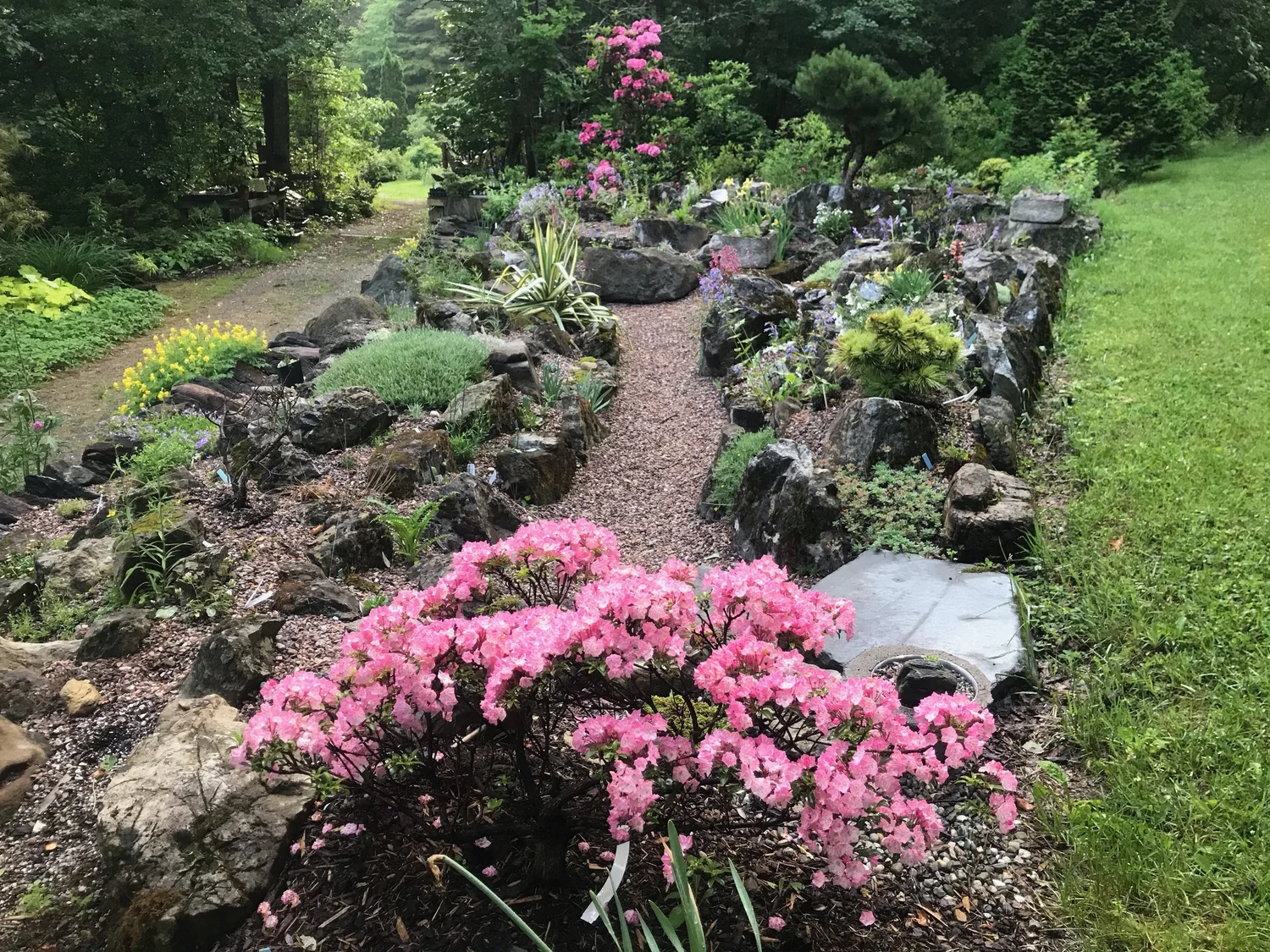 Rock and Alpine Gardens — Lincoln Hill Botanical Garden