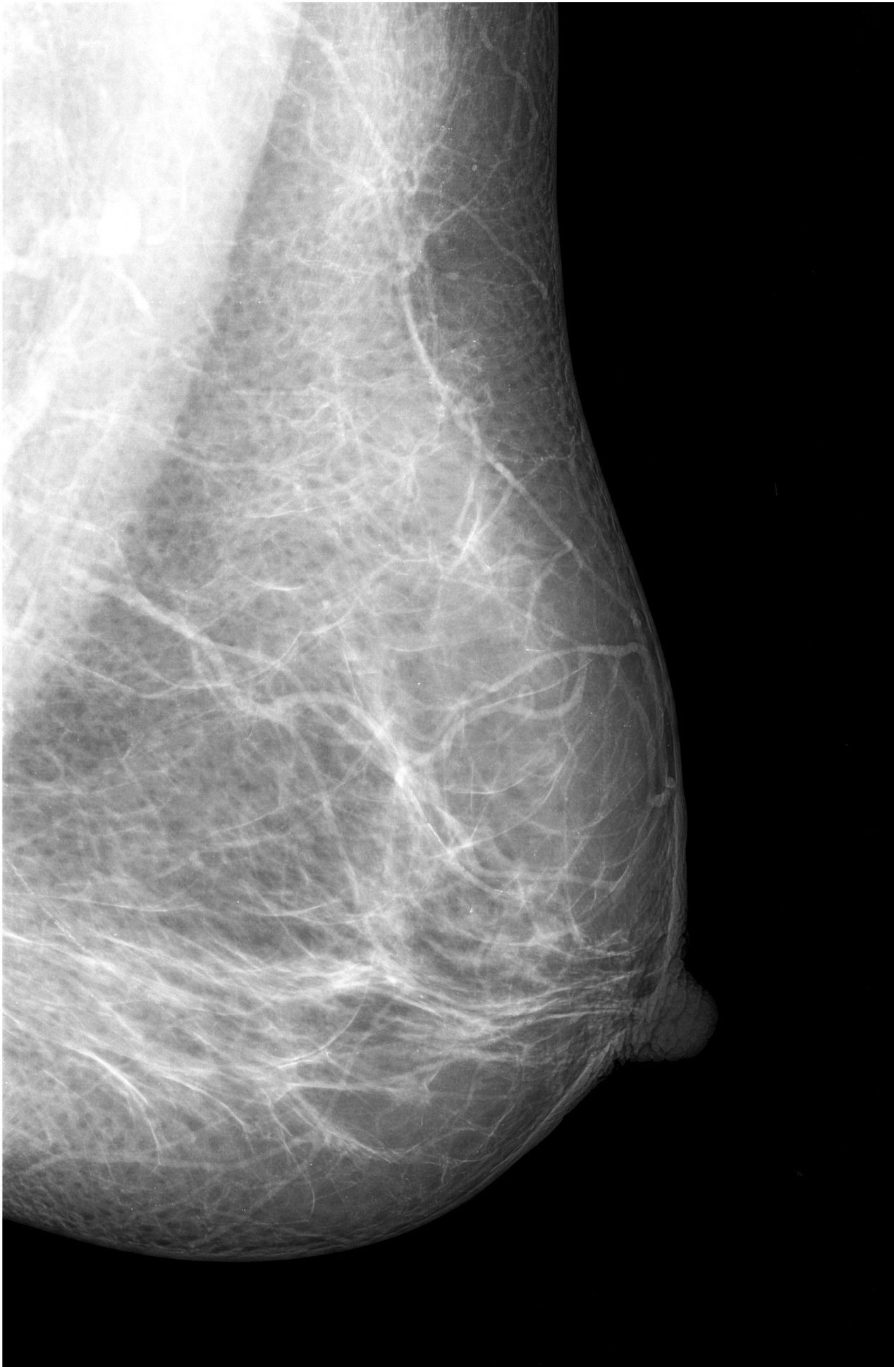 Ingenii — Quantum Medical Imaging Ingenii — Quantum Medical Imaging