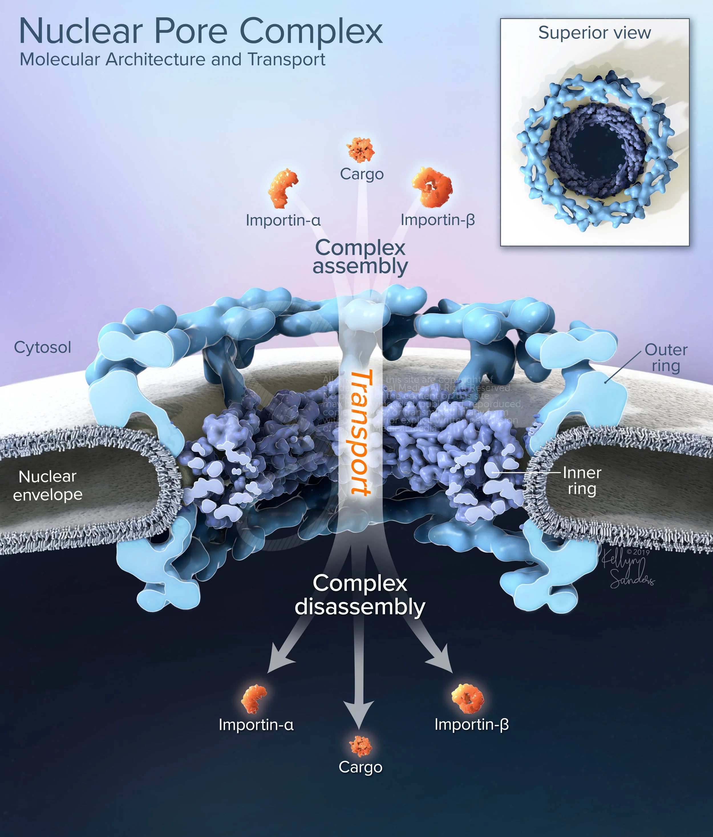 Sanders Medical Media