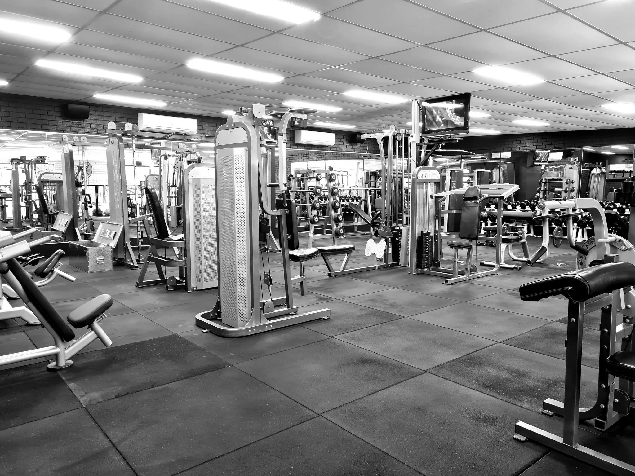Tribe Gym Australia