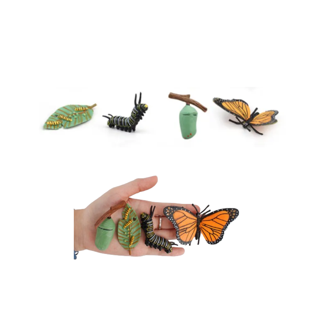 Raise & Release Butterfly Experience