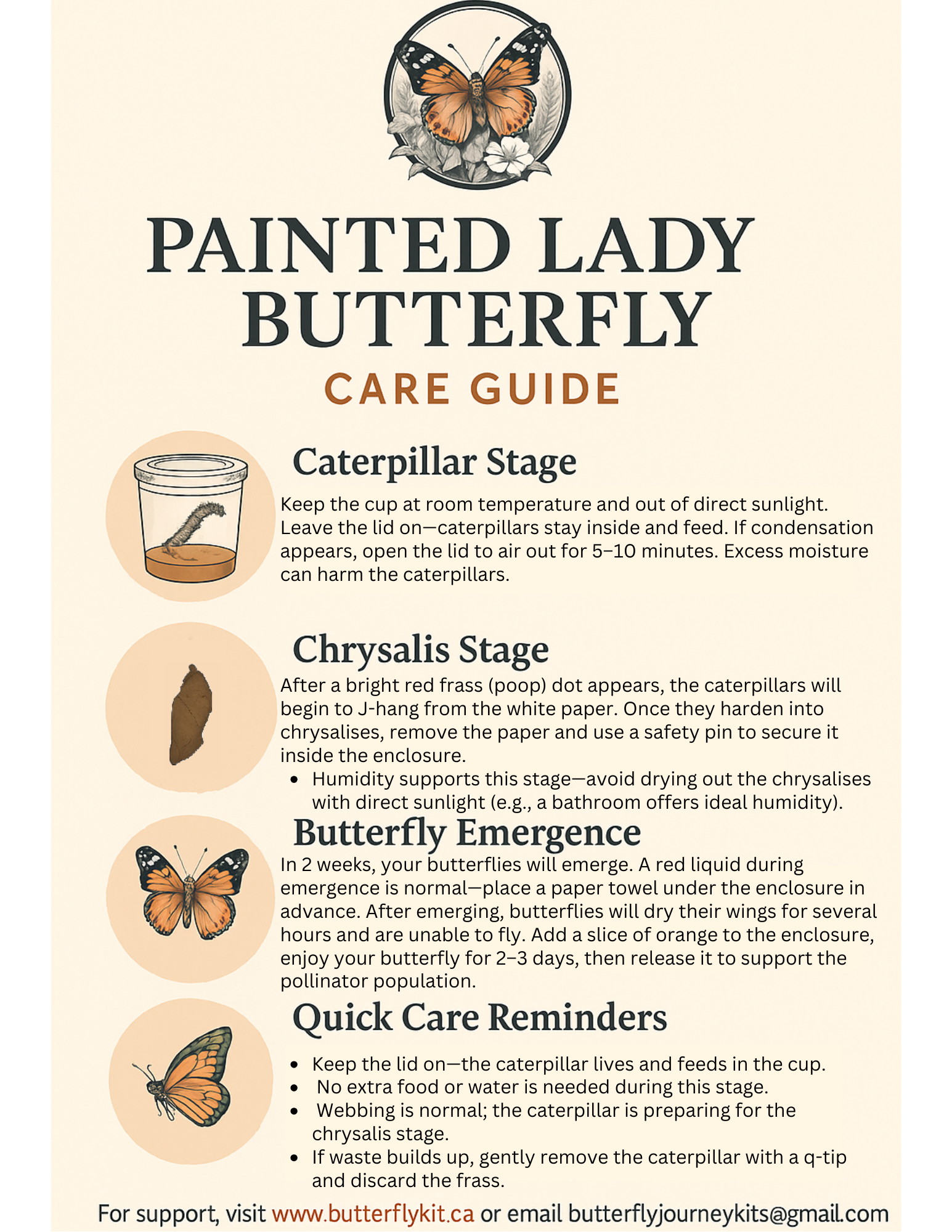 Butterfly Kits Canada | Live Caterpillar Kits for Kids & Classrooms