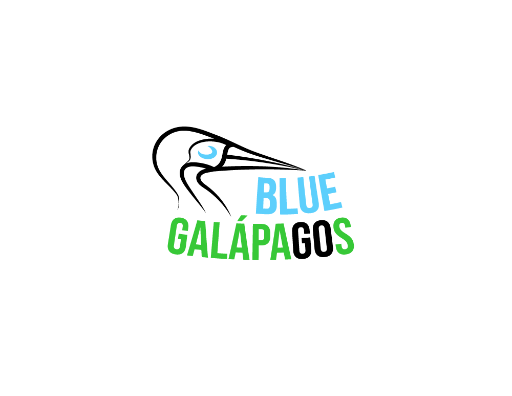 Galapagos Diving Guide | Best Dive Sites, Seasons, and Marine Life ...