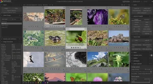 Best Lightroom Alternative: Say Goodbye to Adobe — Them Frames