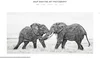 11 Incredible Photography Websites To Inspire You — Them Frames