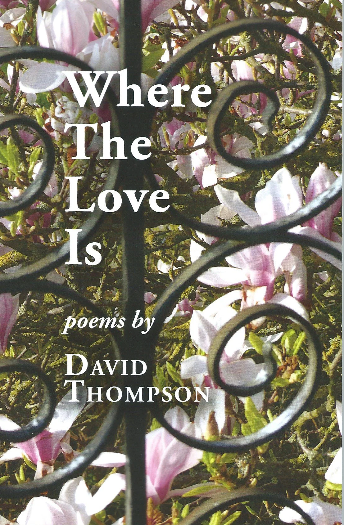 Where The Love Is, Poems by David Thompson — Hobnob Press