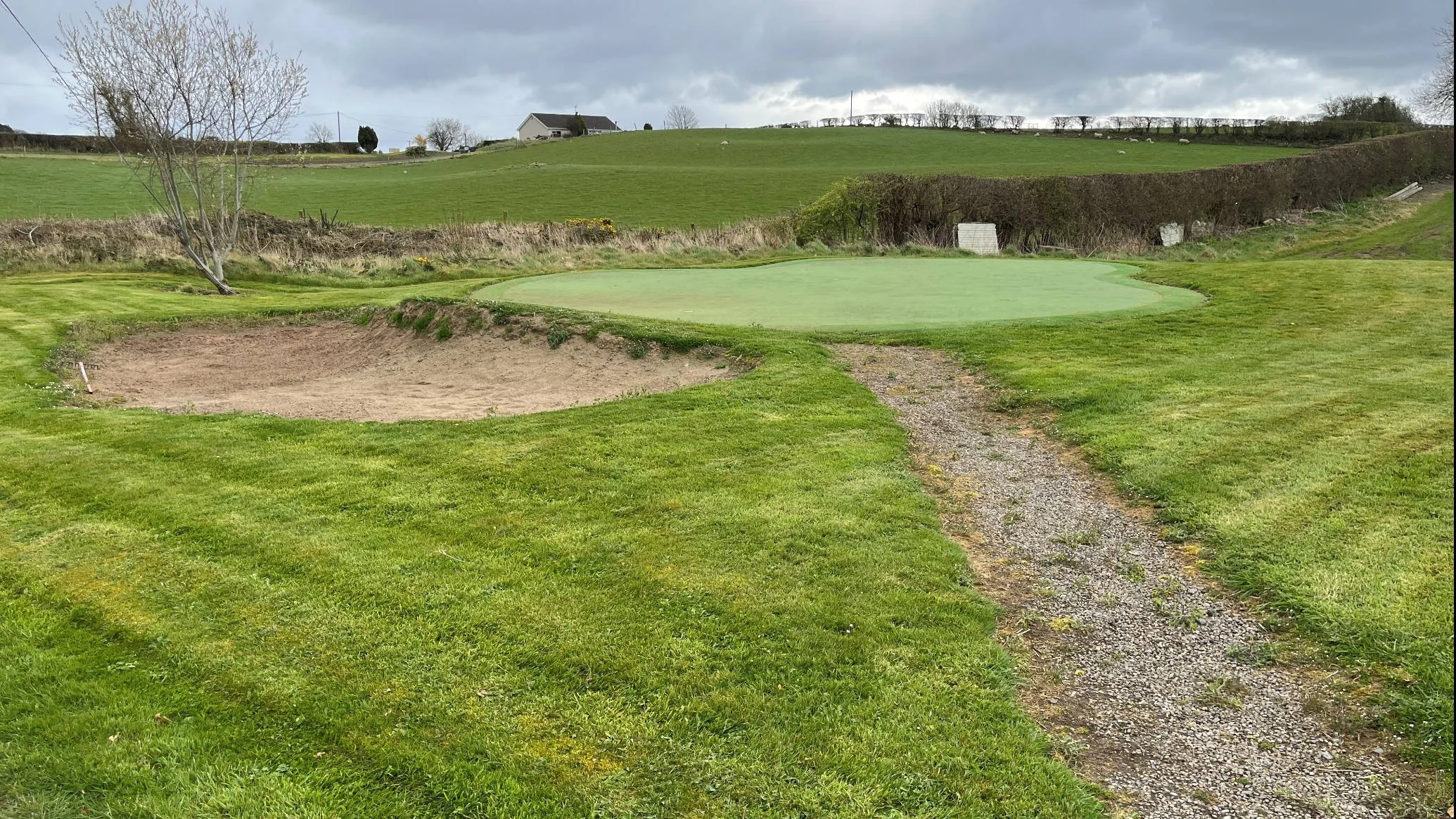 Downpatrick Golf Centre | Driving Range | Family Friendly