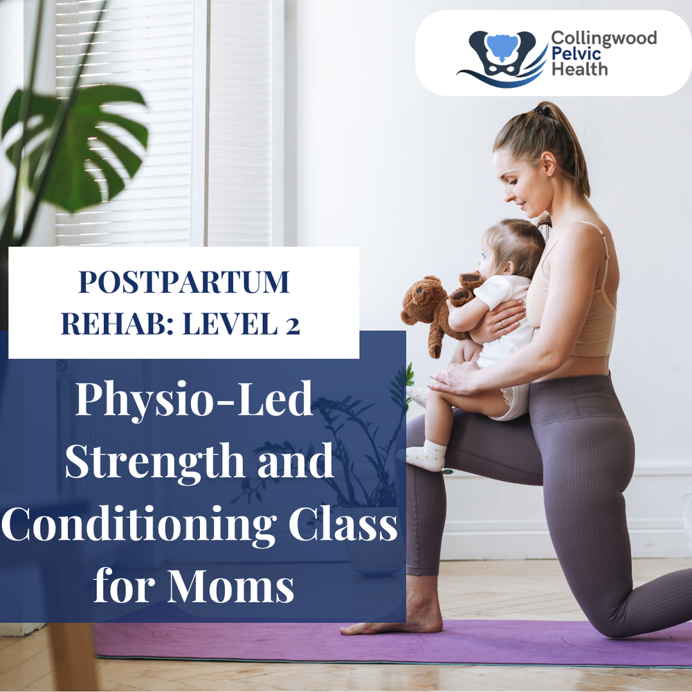 LEVEL 2: Postpartum Rehab Class — Collingwood Pelvic Health