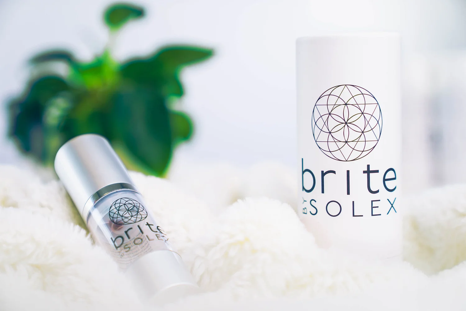 Brite, Invite Moisture Back to Dry Skin — Solex