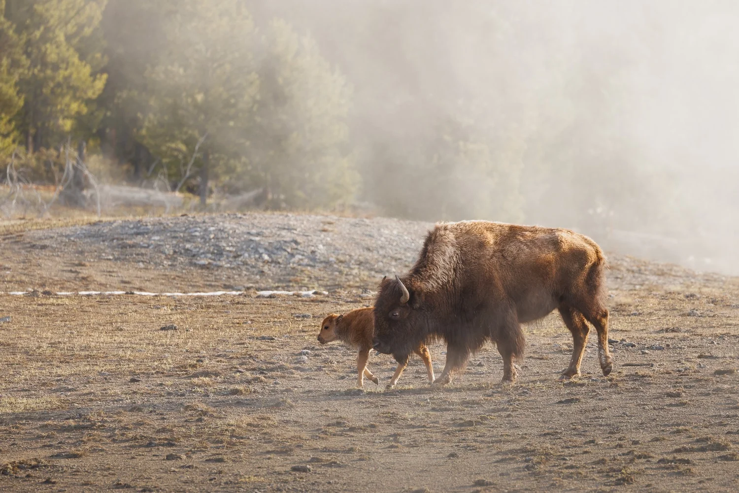Nadeen Flynn Photography | Landscapes-Nature
