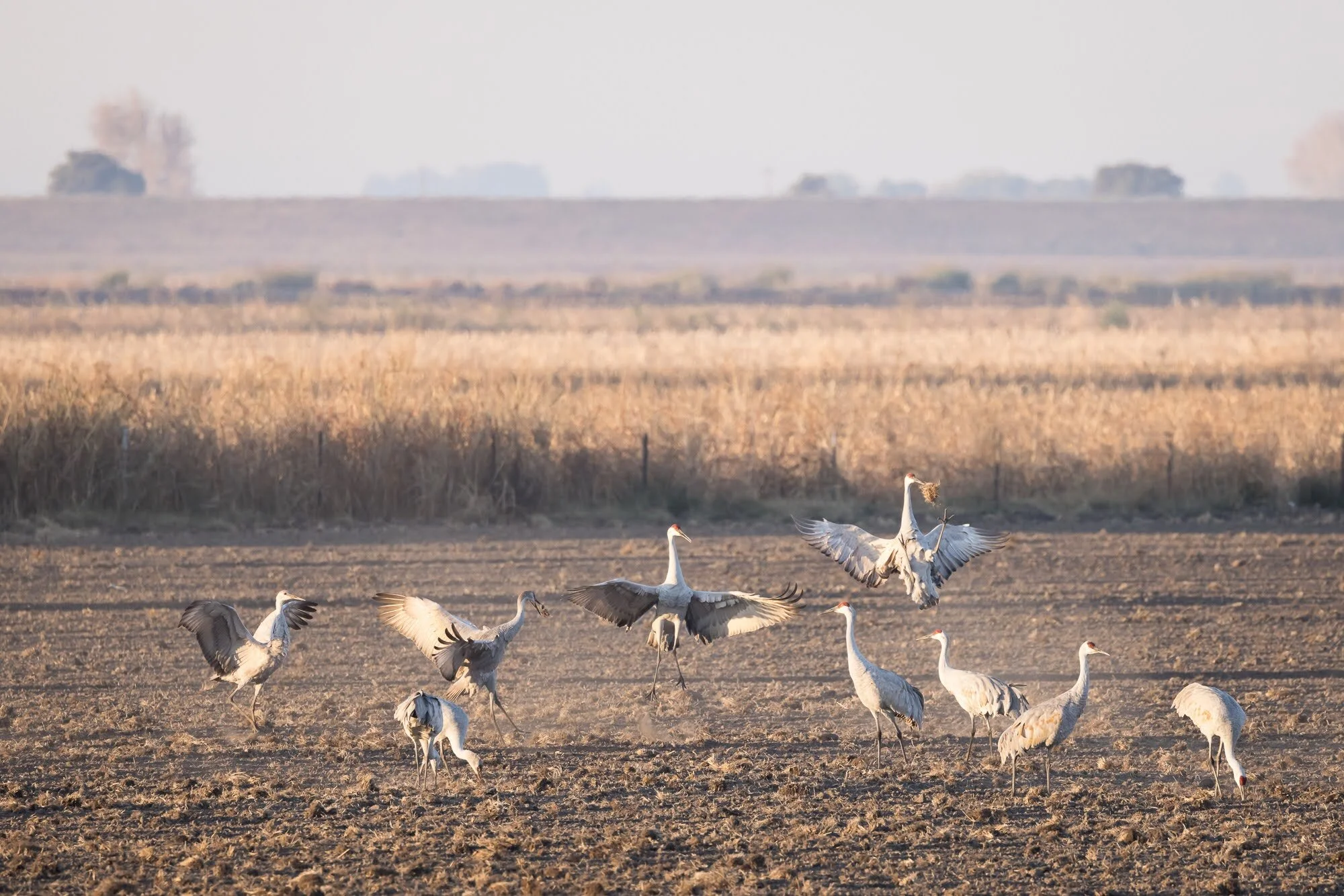 Nadeen Flynn Photography | Landscapes-Still Life-Nature