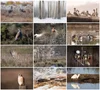 Nadeen Flynn Photography | Landscapes-Nature