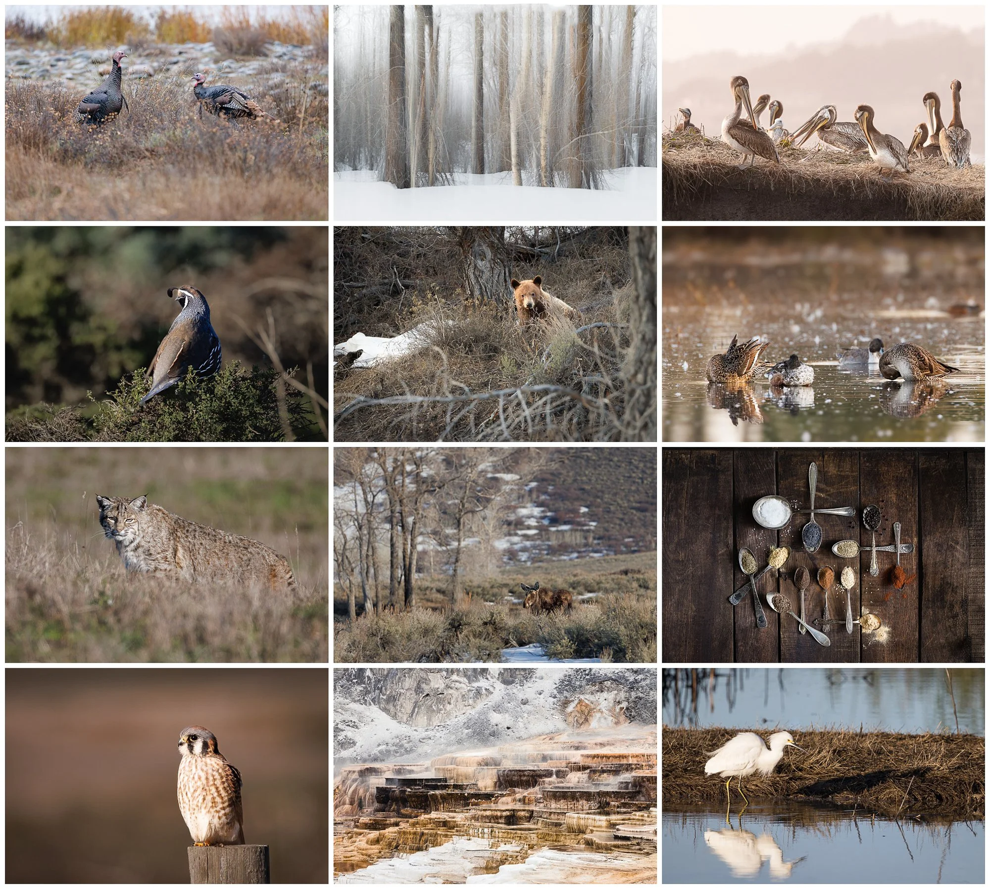 Nadeen Flynn Photography | Landscapes-Nature