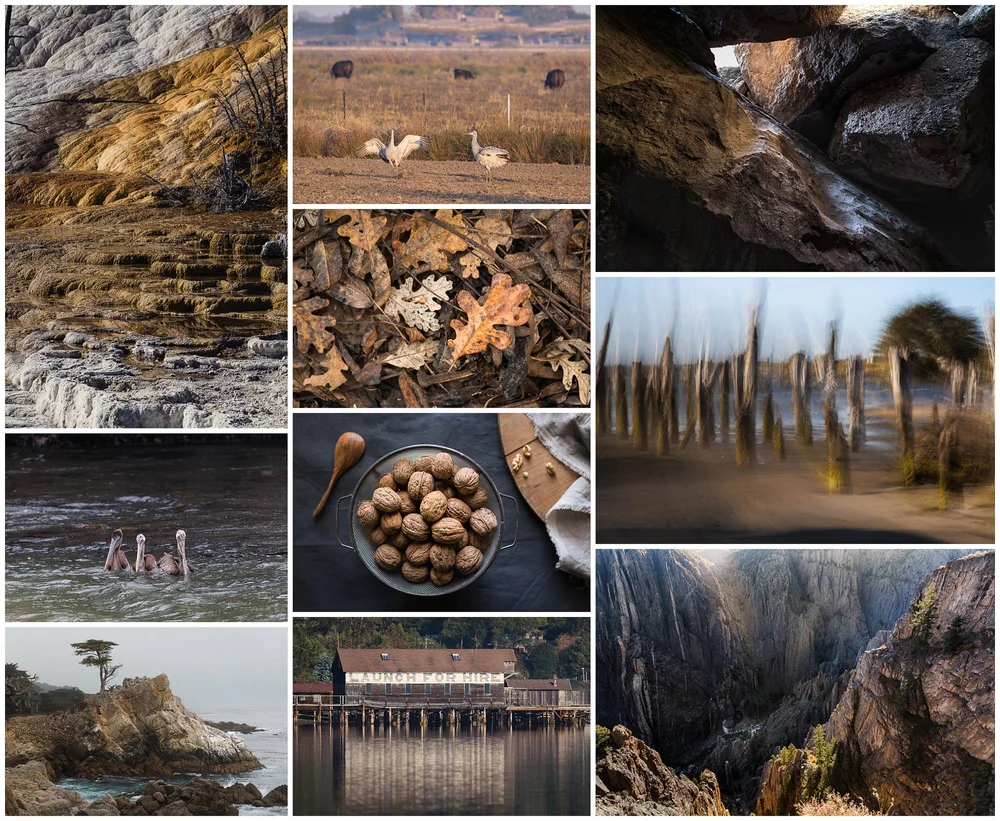 Nadeen Flynn Photography | Landscapes-Nature