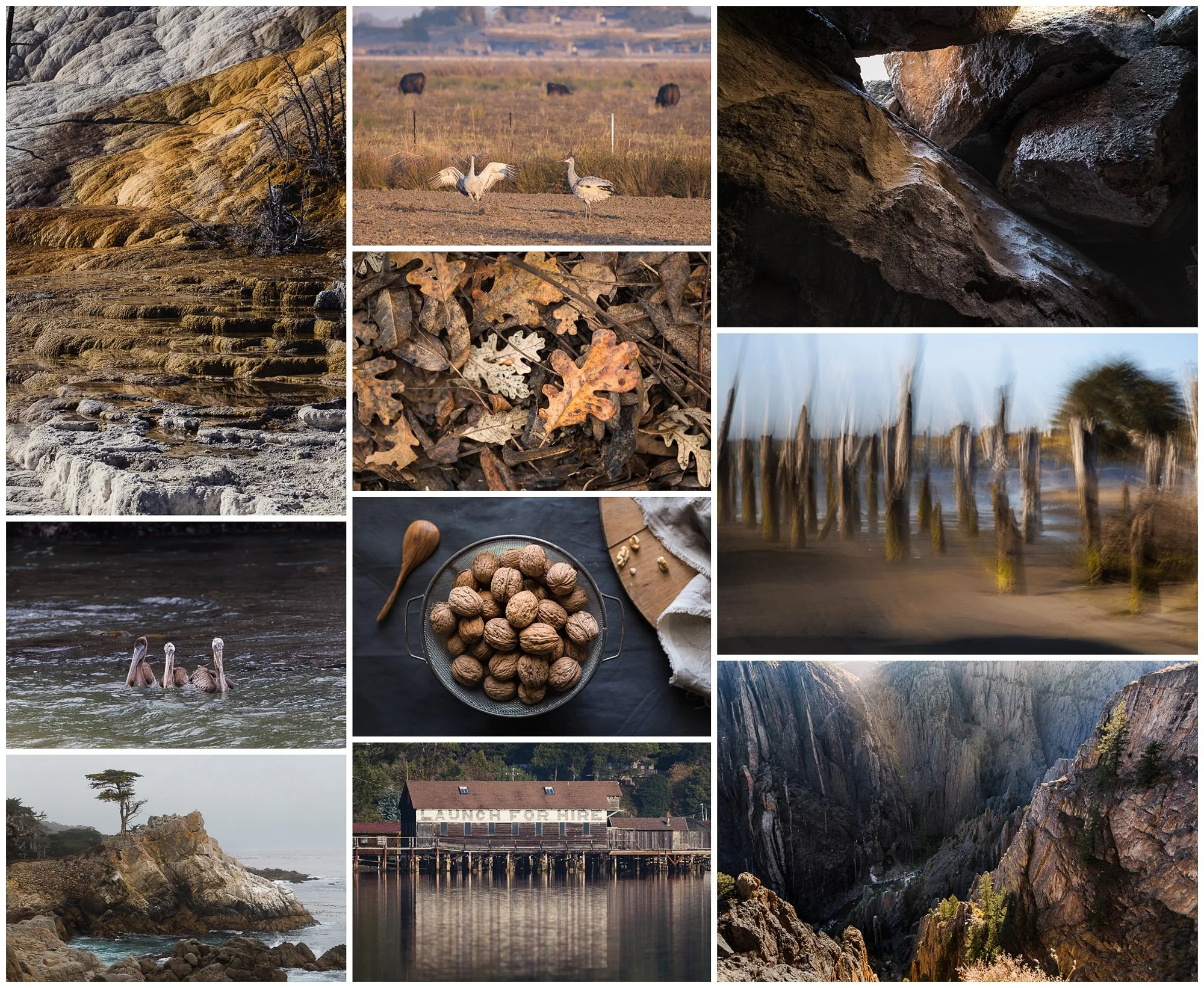 Nadeen Flynn Photography | Landscapes-Nature