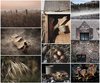 Nadeen Flynn Photography | Landscapes-Nature