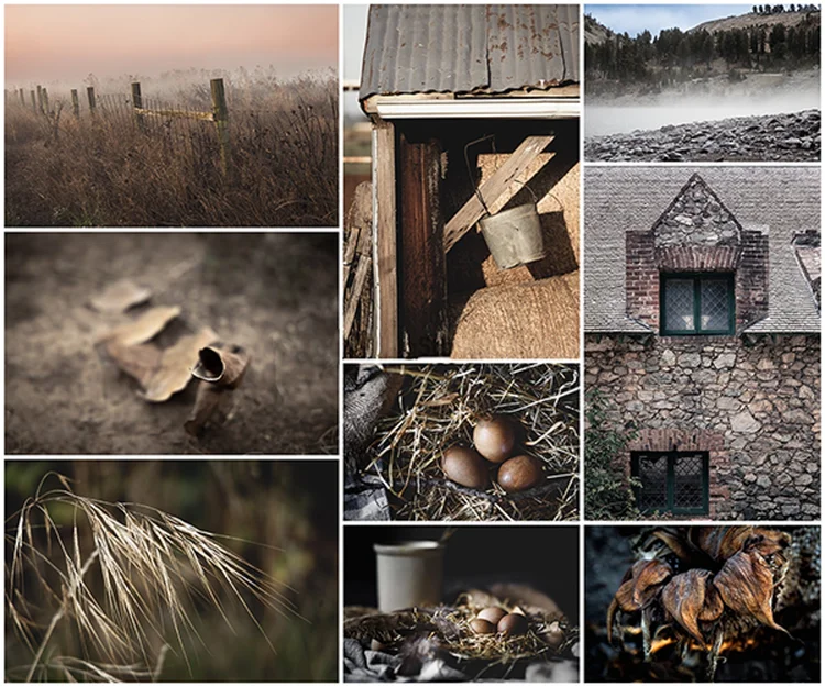 Nadeen Flynn Photography | Landscapes-Nature