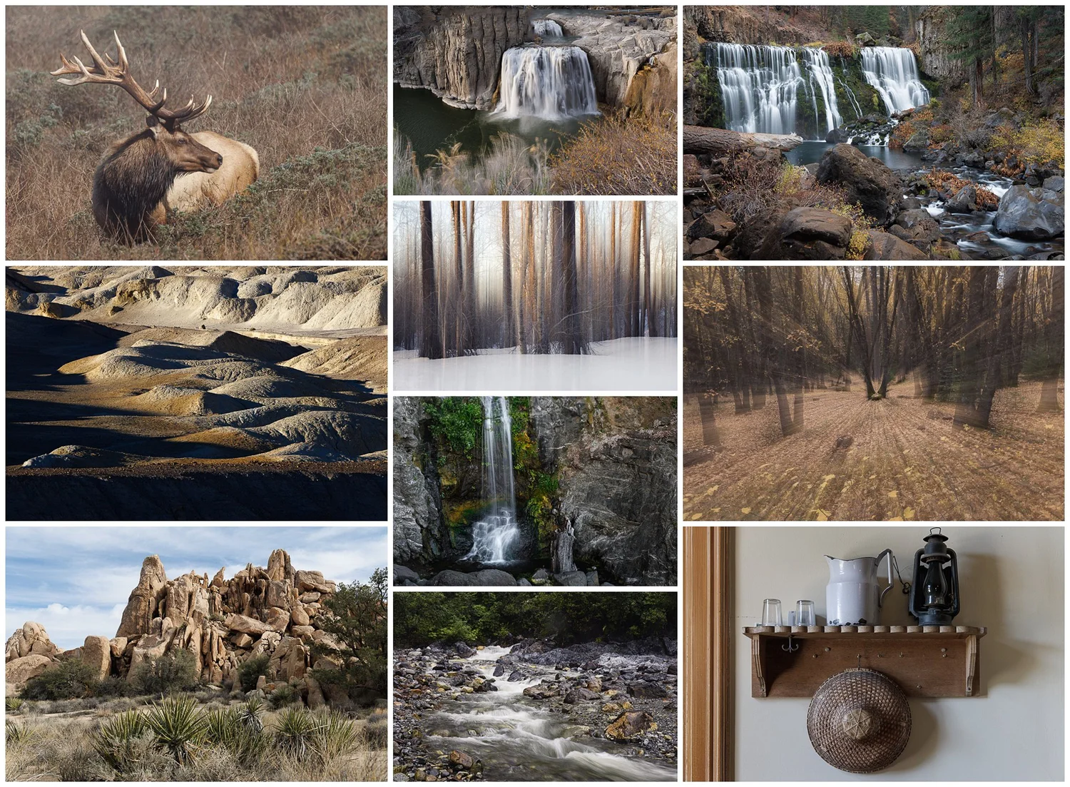 Nadeen Flynn Photography | Landscapes-Nature