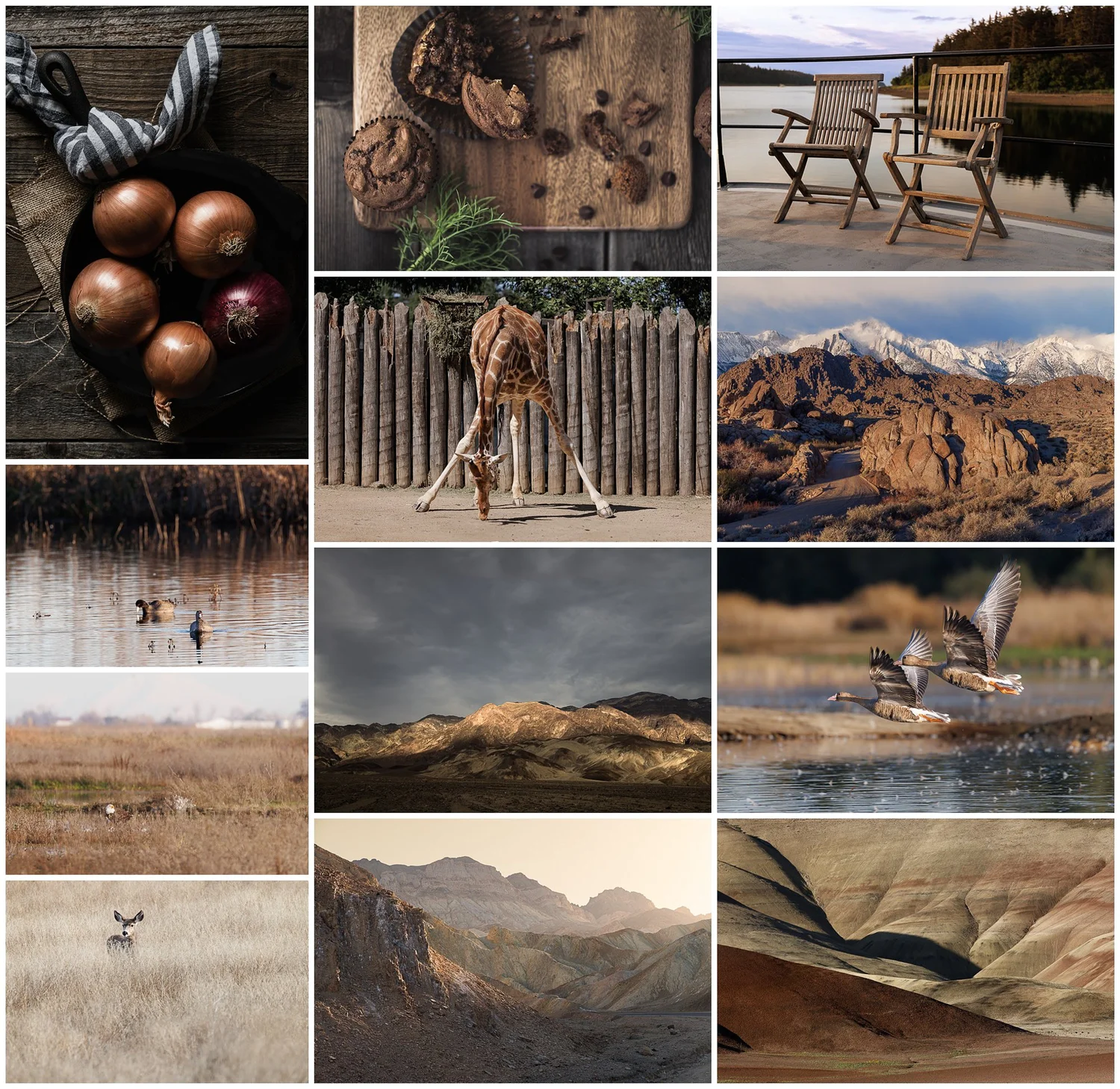 Nadeen Flynn Photography | Landscapes-Nature