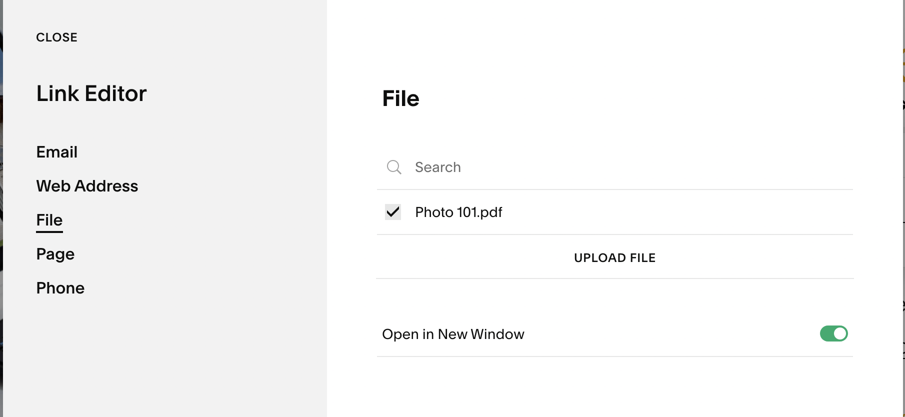 How to Create Text Links in Squarespace: A Step-by-Step Guide ...