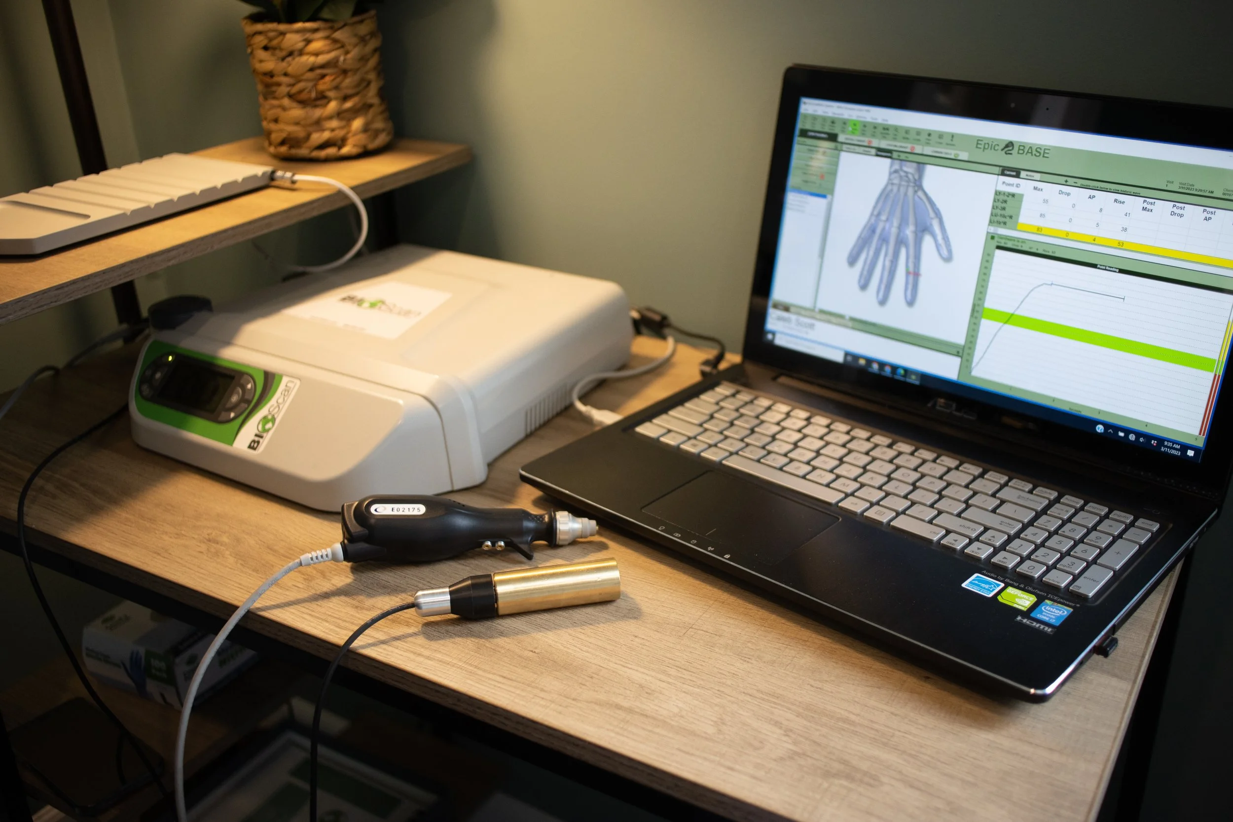 Services — New Life Wellness Coaching