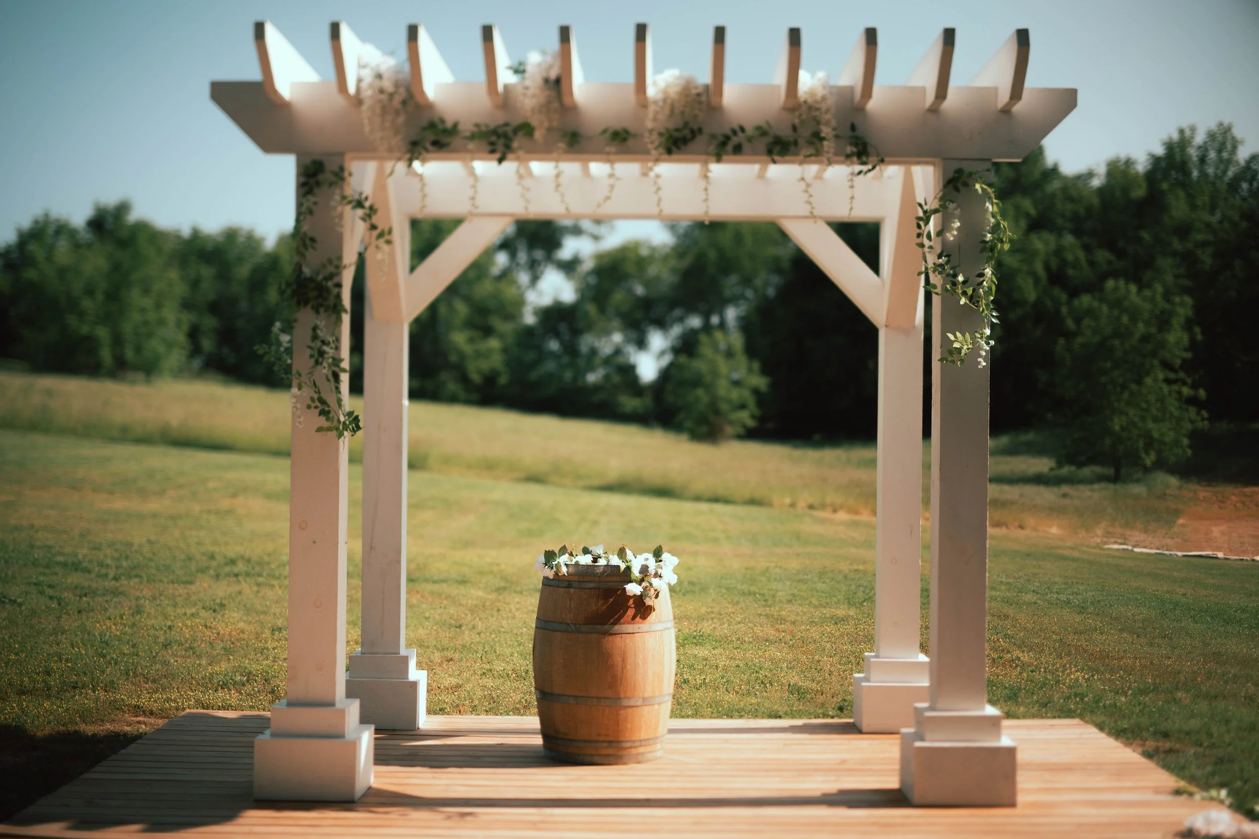 Photographers & Videographers | Capture Your Moments Today — Spring ...