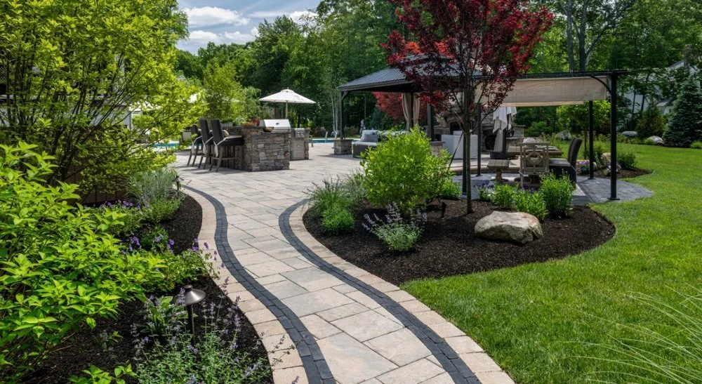 Pet-Friendly Plantings: Creating an Enjoyable Backyard for Your Furry ...