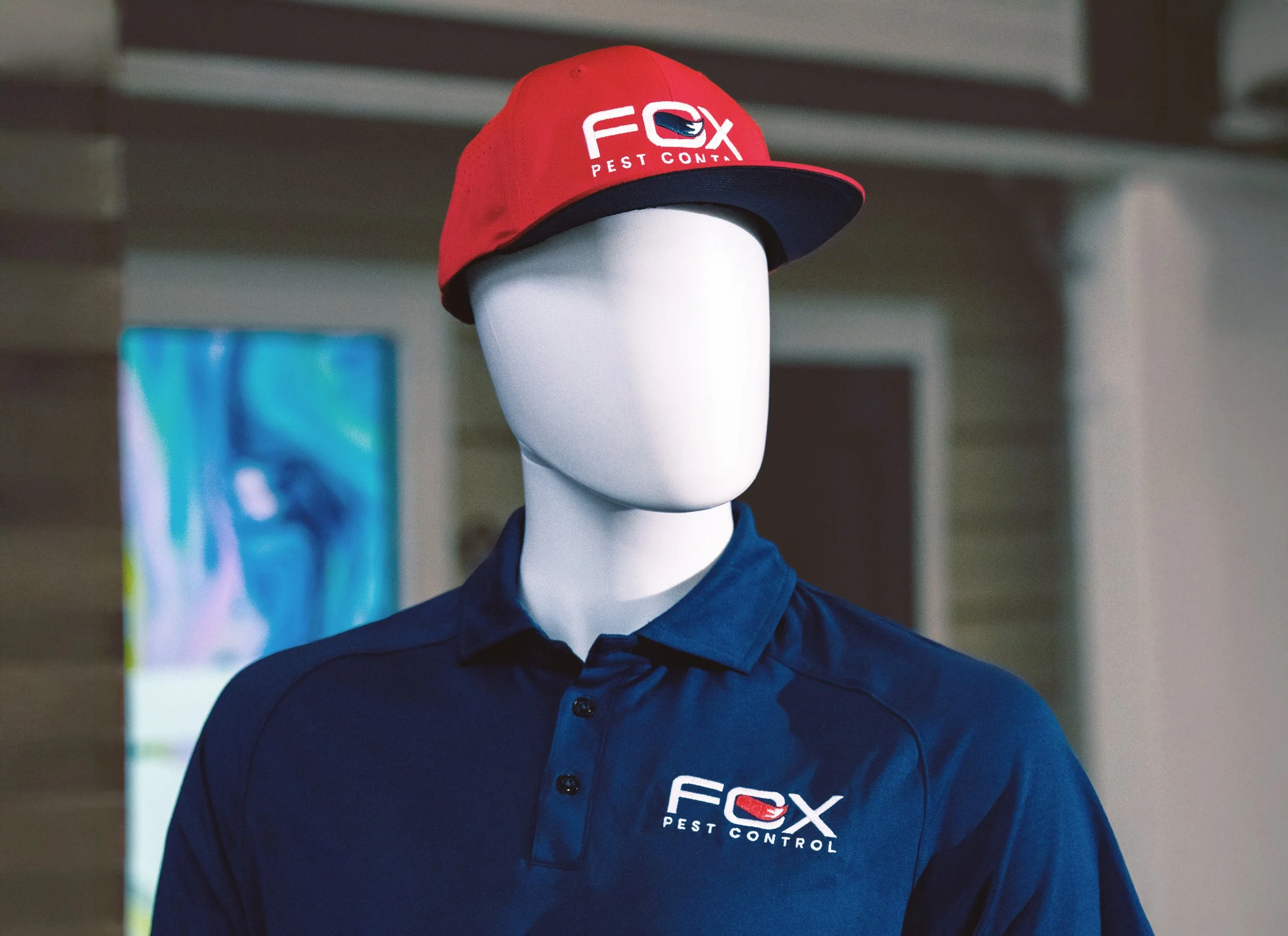 FOXD2D