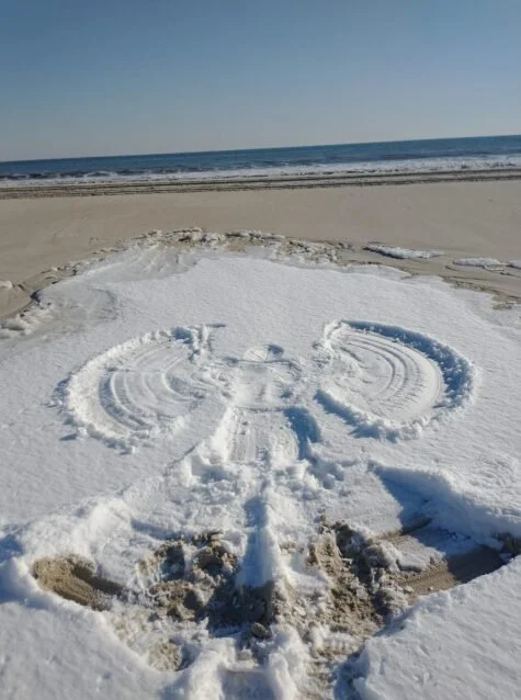 Fire Island’s Year in Pictures 2021 — Fire Island News