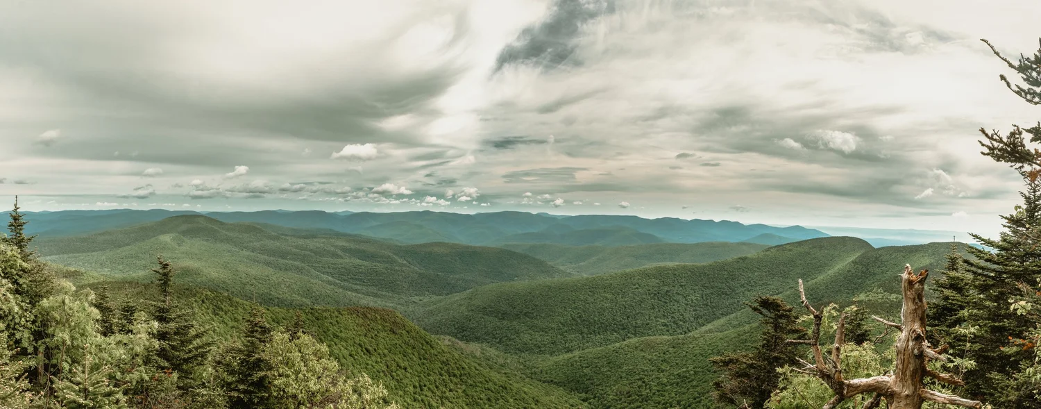 Additional Resources — NYSASIC