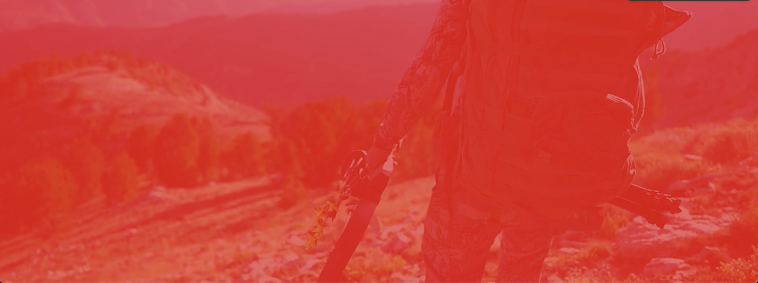 Gallery 1 — Stalker Stickbows