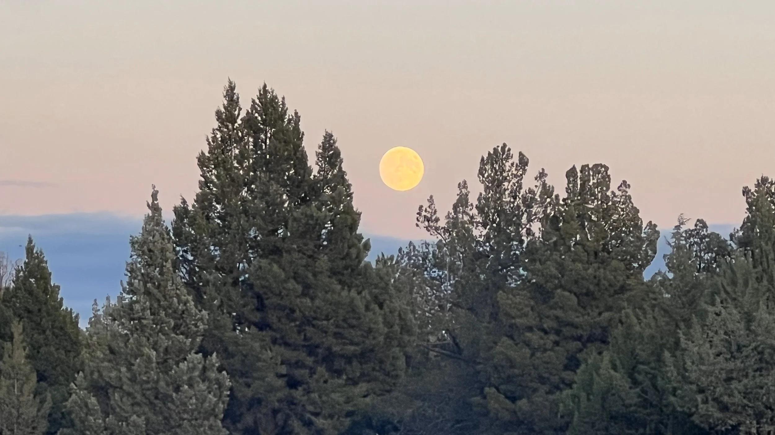 Photos — Sundance Meadows