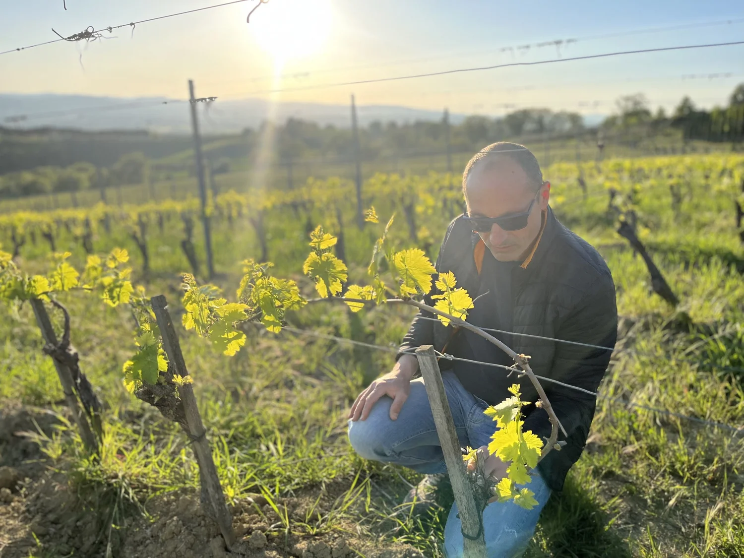 De Monaco & Holland (Todi, UMBRIA) — France+Western