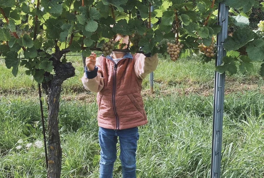 Alexander Zahel (Vienna, AUSTRIA) — France+Western