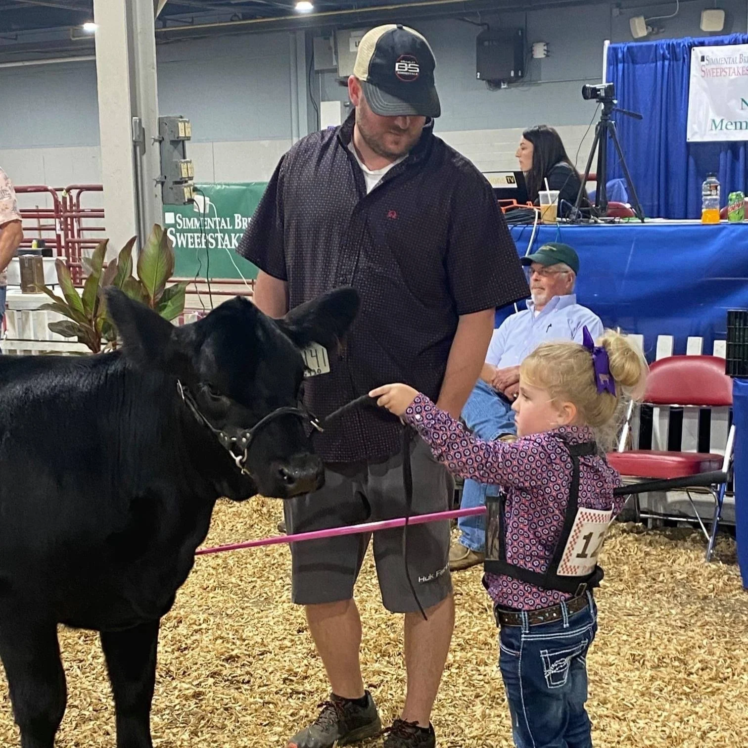 Bramlet Simmentals | High Quality Beef | Show Cattle | Southern Illinois