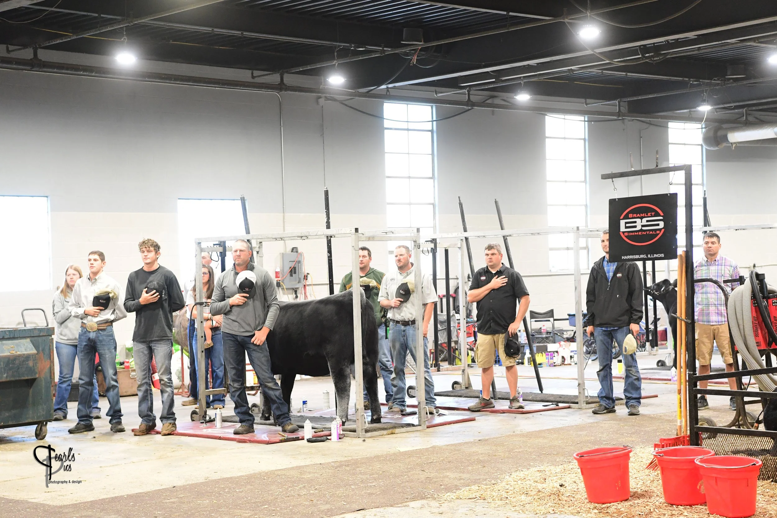 About — Bramlet Simmentals